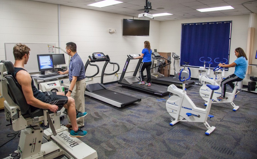 Kinesiology, BS | Bob Jones University